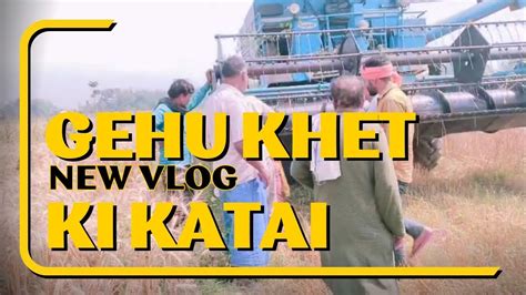 Gehu Khet Ki Katai Vlog Part Combine Se Gehu Ki Katai Vlog In Bihar YouTube