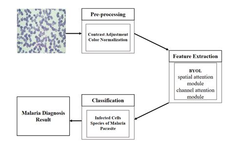 A Schematic Diagram Of The Algorithm Download Scientific Diagram