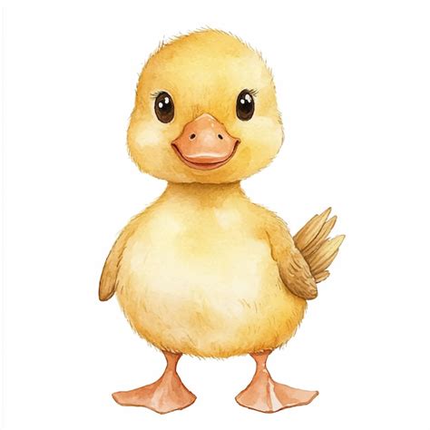 Cute Duckling Clipart