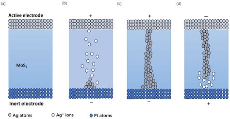 Mos2 Based Memristor Robust Resistive Switching Behavior And Reliable