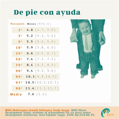 Desarrollo Típico Y Atípico Sefip Sociedad Española De Fisioterapia