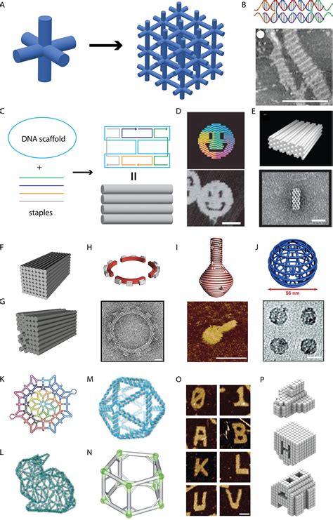 Recent Advances In Dna Origami Engineered Nanomaterials And