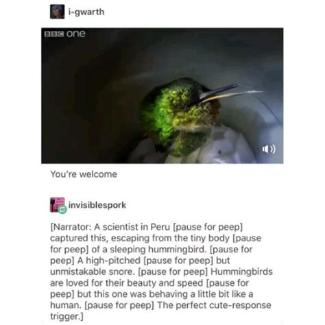 468 Likes 9 Comments Lil Yeet Thahoodweirdo On Instagram “second