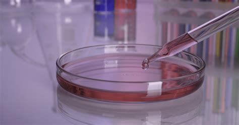 How Labs Can Connect To Emr Healthcare Integrations