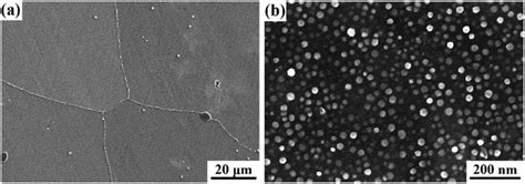 Sem Images Showing The Morphology Of A Carbides And B γ