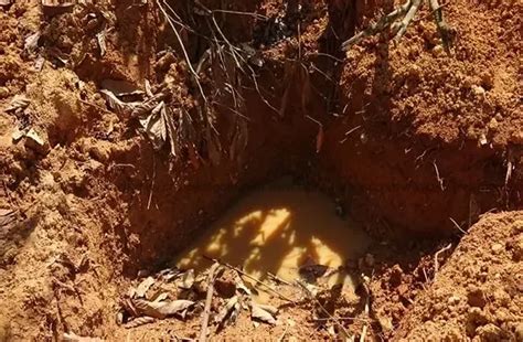 Mining Pit Kills 4 Women Dailyguide Network