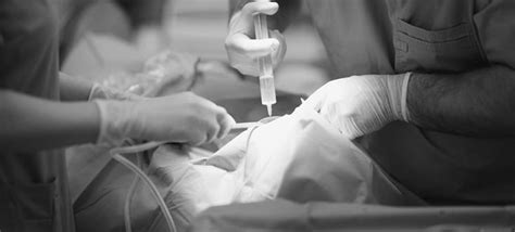 What Are The Types Of Anesthesia Anesthesia Anesthesiology Vital Signs