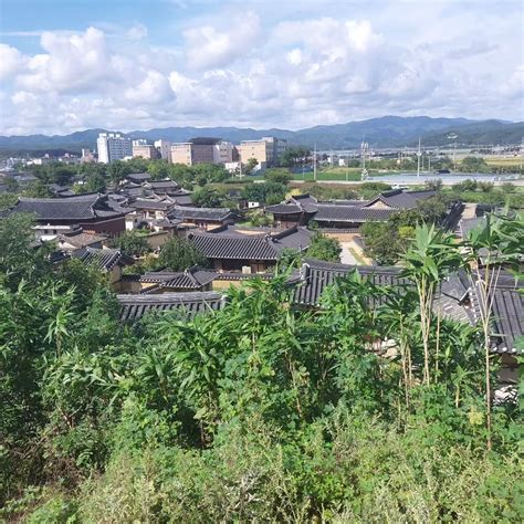 오늘은 역사기행동호회 노랑배낭의 경북 영덕 역사기행가는 날 저녁 내내 천둥과 번개가 몰아쳤는데 오늘 날씨가 어떨지 일정은 비교적 여유가 있어 내심 원구리 당산숲에서