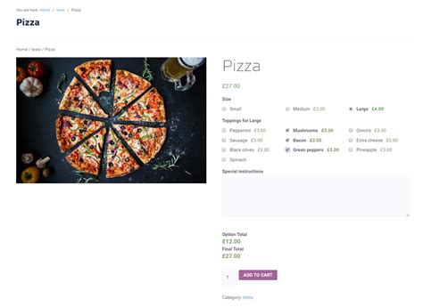 6 Best Woocommerce Extra Product Options Plugins 2025 Colorlib