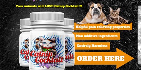 Catnip Cocktail Drug Is Driving People Mad Business Insider
