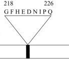 Schematic Diagram Showing The Functional Domain Structure And The Download Scientific Diagram