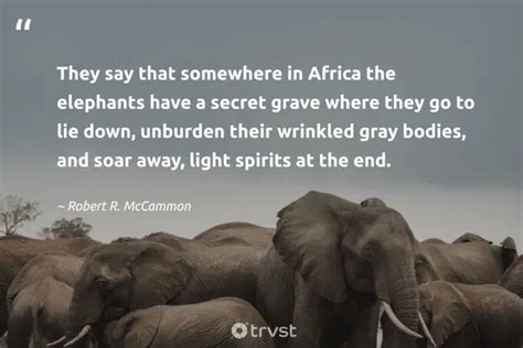 73 Elephant Quotes Inspiring Conservation And Might