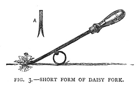 Weeding Virtual Museum