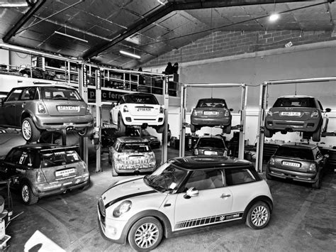 Minitopia Mini Specialist Minitopia Mini Specialist