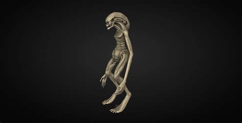 Alien Newborn 3d Model By Jaka Ardian