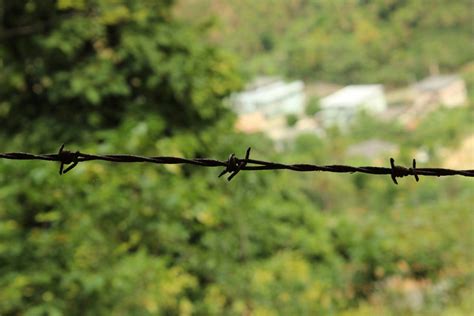 12 Cheap Diy Fence Ideas That Wont Break The Bank The Ultimate Homestead