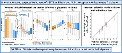 Phenotype Based Targeted Treatment Of Sglt2 Inhibitors And Glp 1