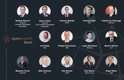 Openwealth Api Consulting Synpulse