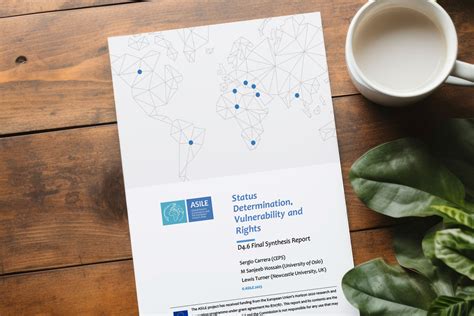 Final Synthesis Report On ‘status Determination Vulnerability And