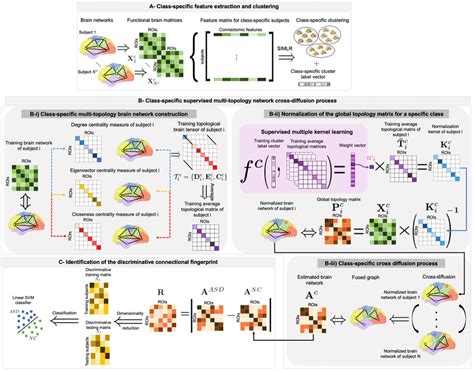 Illustration Of The Proposed Supervised Multi Topology Network