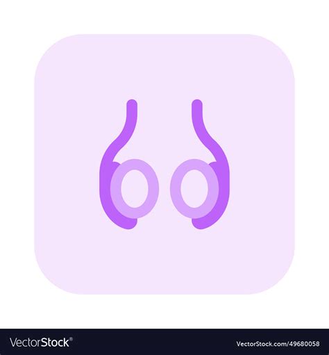 Testicle Or Testis Plural Testes Is The Male Vector Image