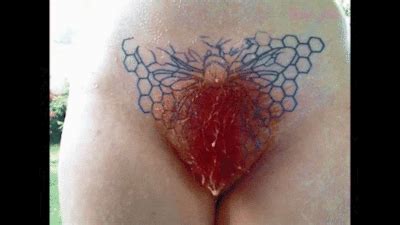 Very Angry Cat Tumblr Com Tumbex