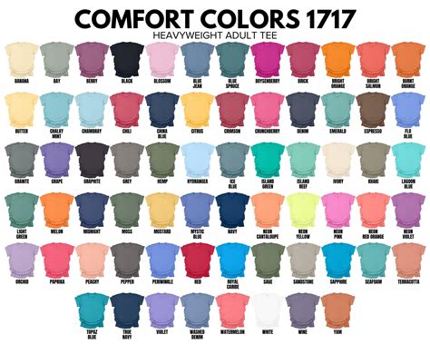 Comfort Color T Shirt Comfort Colors Shirt Blank Color Washed Shirts