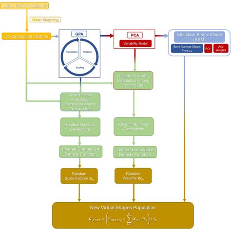 A Schematic Workflow Gathering The Steps Of The Whole Procedure Mesh Download Scientific