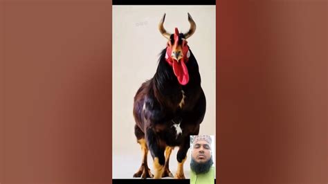 Shorts Shortsfeed Shortvideo Youtube