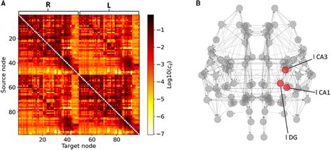Frontiers An Exploratory Computational Analysis In Mice Brain Networks Of Widespread Epileptic