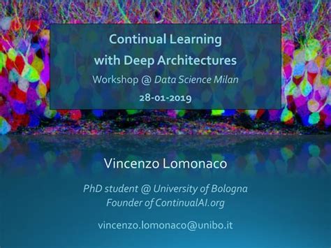 continual lifelong learning with deep architectures pdf