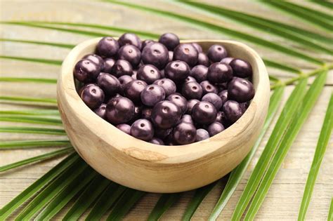 Acai Euterpe Oleracea Health Benefits Uses Growing Tips