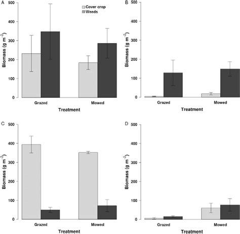 Impacts Of Termination Approach Sheep Grazing Or Mowing On Cover Crop