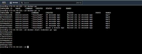 Docker Stop Command A Complete Tutorialdefnitionsyntaxexamples
