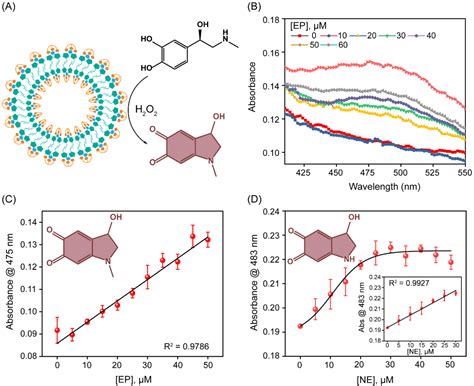 Biosensors Free Full Text Metal Coordination Driven Supramolecular Nanozyme As An Effective