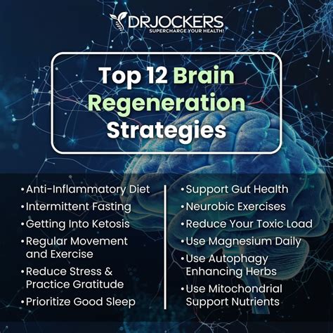 Brain Regeneration Ways To Heal Brain Cells Artofit