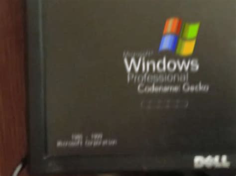 Windows Codename Gecko Spinpasta Wiki Fandom Windows Codename Gecko Spinpasta Wiki Fandom