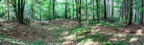 Burgenwelt Befestigte Artilleriestellung Am Oituz Pass Rumänien