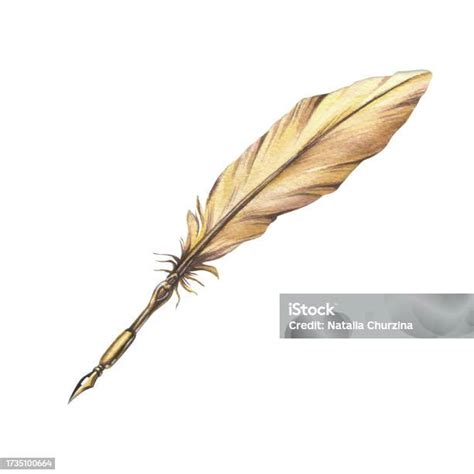 깃펜과 금속 팁이 있는 금색 펜 손으로 그린 수채화 그림 흰색 배경에 격리된 개체입니다 깃털펜에 대한 스톡 벡터 아트 및 기타 이미지 Istock