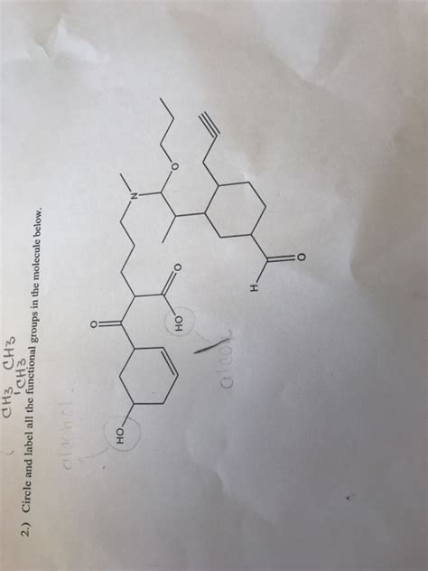 Solved Circle And Label All The Functional Groups In The Chegg