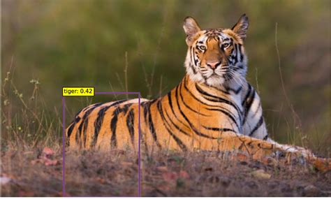 Runtimeerror Missingunexpected Keys Training From Scratch On Custom