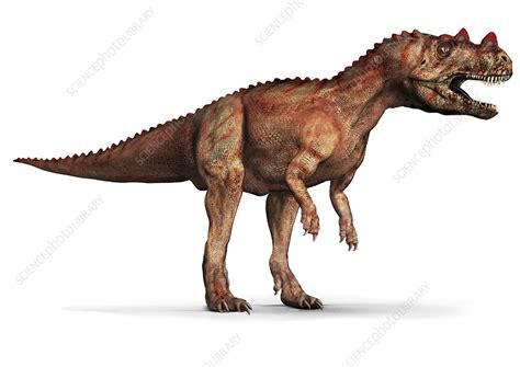 Ceratosaurus Dinosaur Illustration Stock Image C052 4826 Science