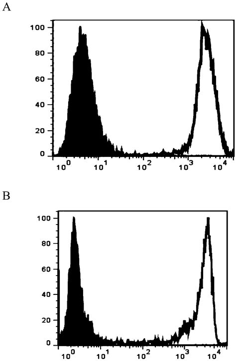 Whole Human Anti Gitr Antibody And Preparation Method Thereof Eureka