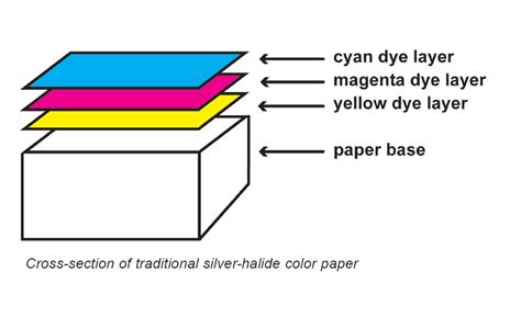 What Is Thermal Dye Printer At Kara Torres Blog