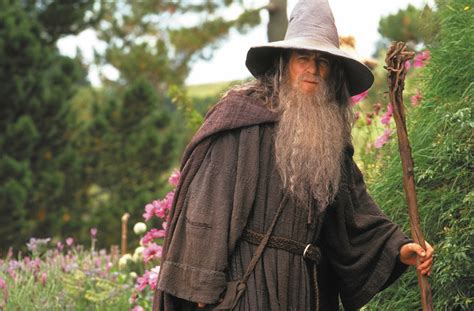 Download Gandalf Ian Mckellen Movie The Lord Of The Rings The