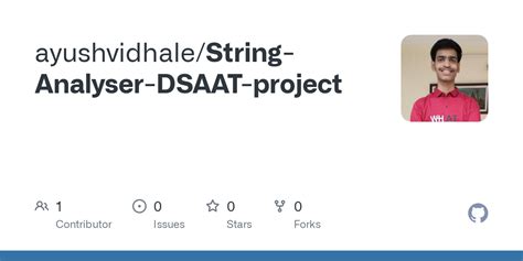 GitHub Ayushvidhale String Analyser DSAAT Project