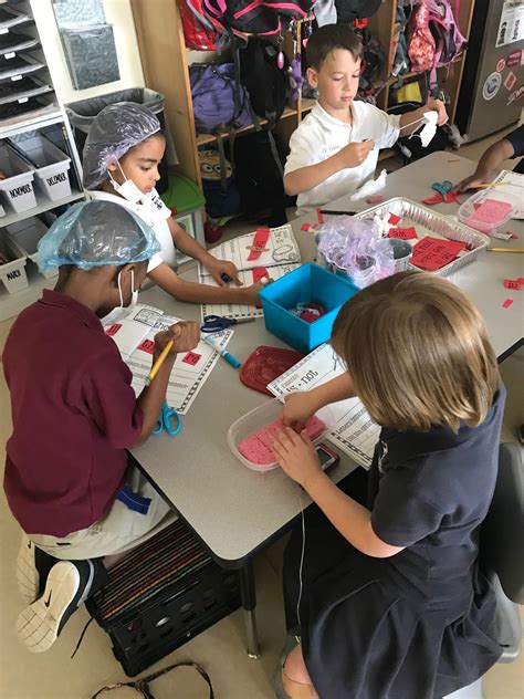 Going Strong In 2nd Grade Contraction Ectomies With 2nd Grade Surgeons