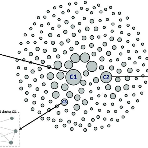 Sample Molecular Transmission Network Clusters [shown As Gray Circles