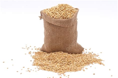 Bag With Wheat Of A Grain Photo Background And Picture For Free ...