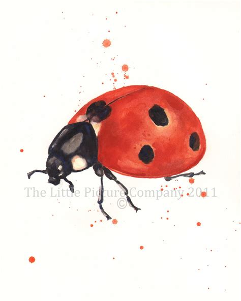 Ladybug Watercolor At Explore Collection Of